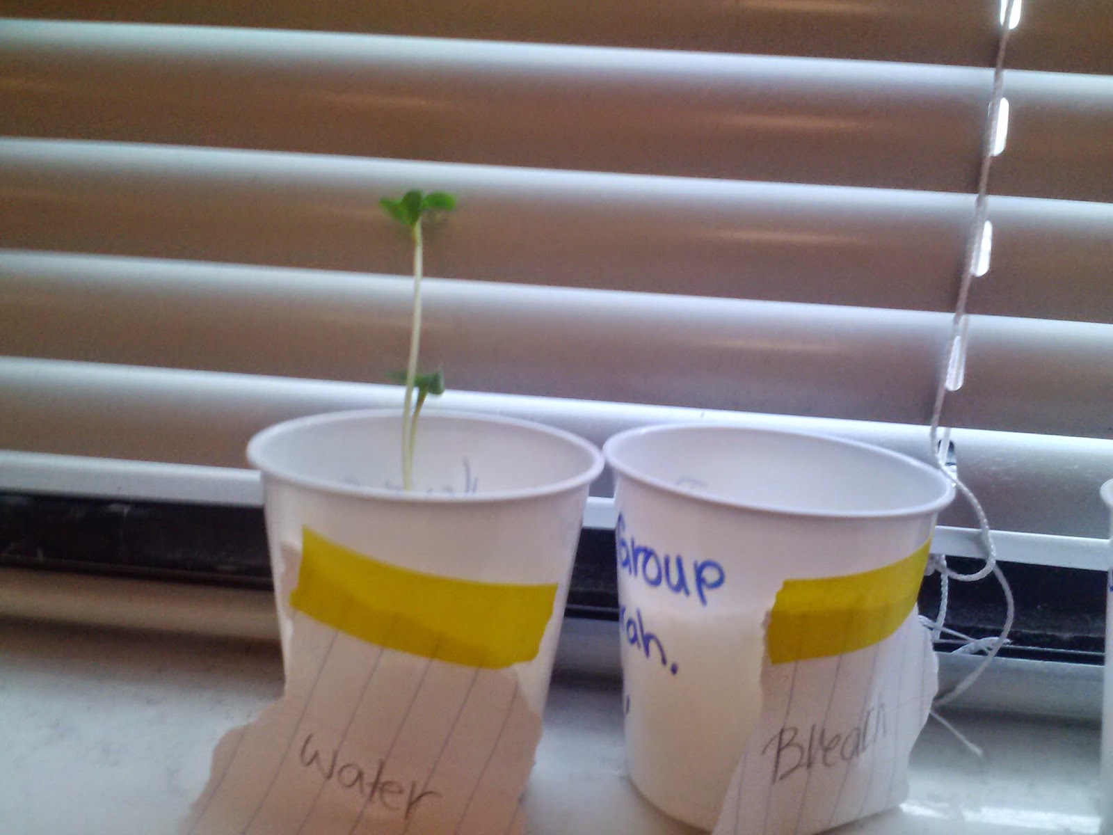 A Year of Science Modeling Instruction: Unit 1 Reflections: Seed ...