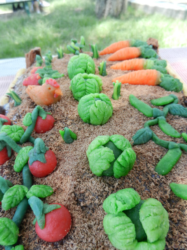 Bec I am.: Organic Veggie Patch Cake