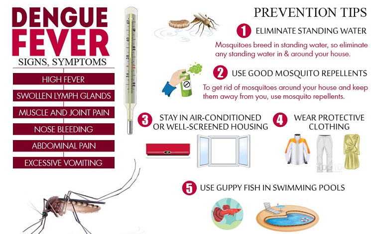 MyTownPharmacy: 6 facts about Dengue | How much do you know?