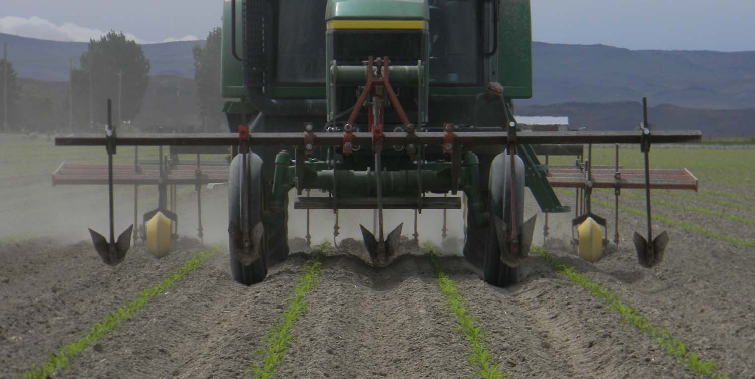 Owyhee Agriculture: Cultivating