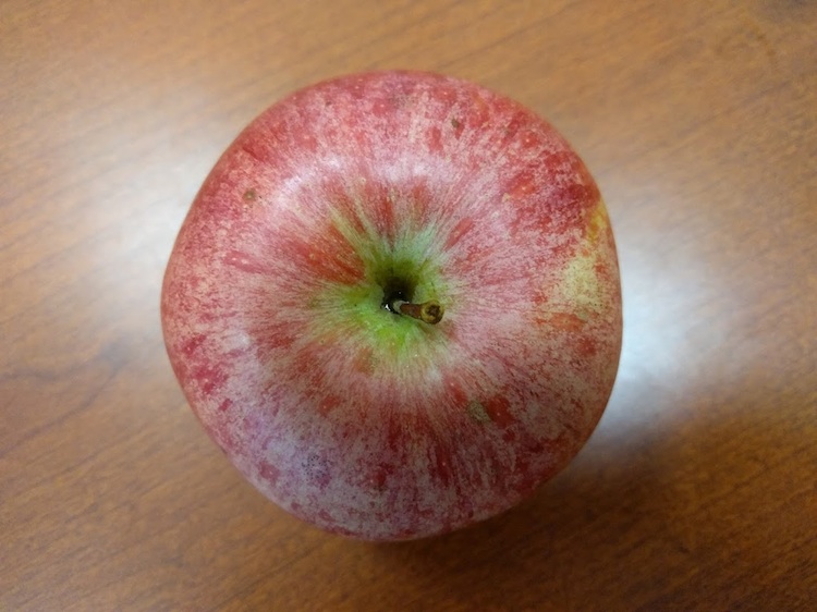 Bonnie Best * - Adam's Apples