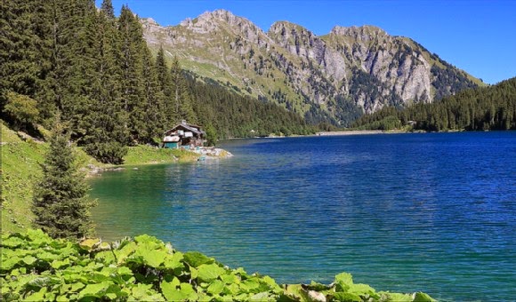 5 cleanest lakes in the world |The Green Bard