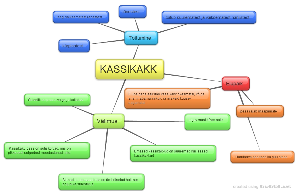 Roger Infotehnoloogia