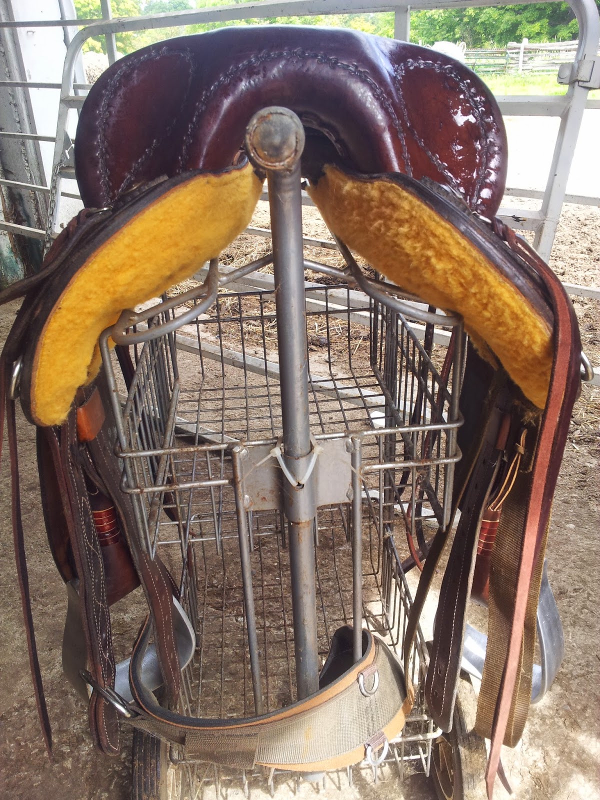 Foundation Reining Training Centre: SOLD. For Sale: Clinton Anderson ...