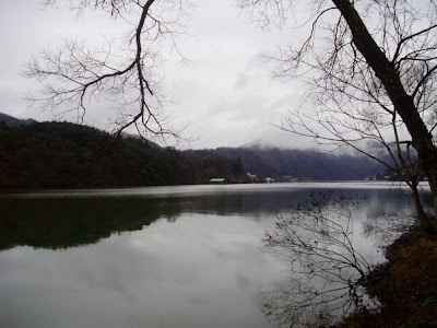 The Roomy Life: Travel Asia: Autumn in South Korea Part 4 - Nami Island