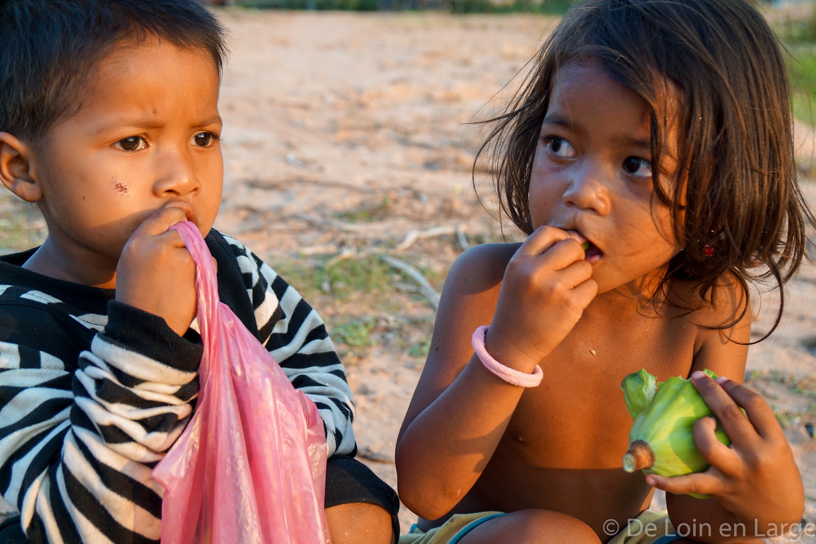 De loin en large: 2015