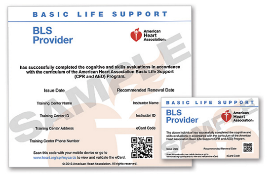 What Are American Heart Association Ecards What Do Kids And Infants what-are-american-heart-association-ecards-what-do-kids-and-infants