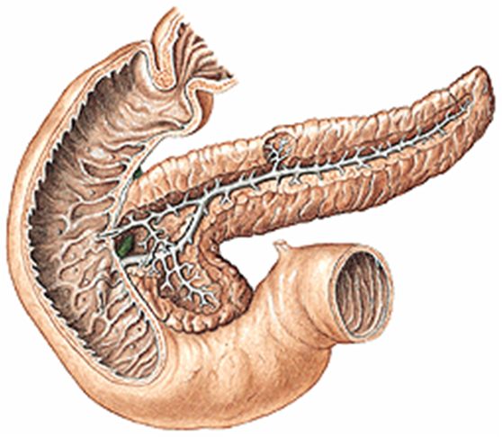 Docs Network: May 2014