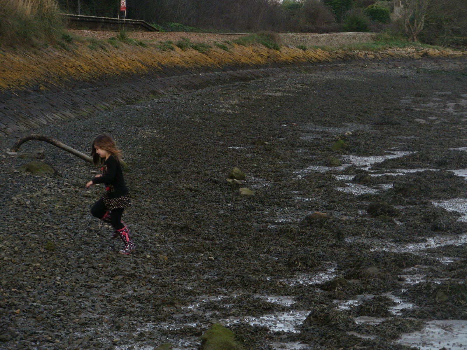 steady footprints: mud between your toes