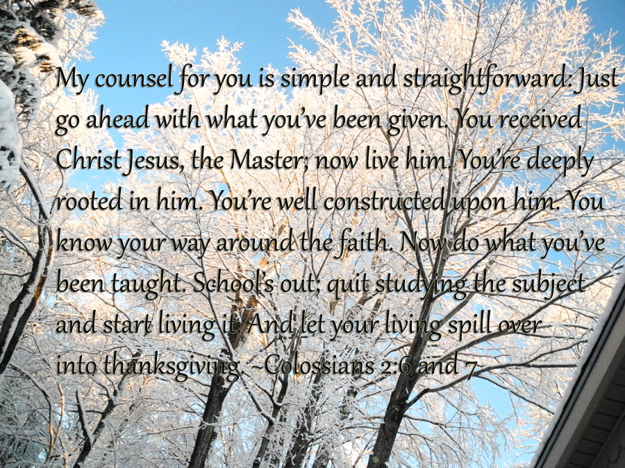 A Haven for Vee: Colossians 2: 6–7