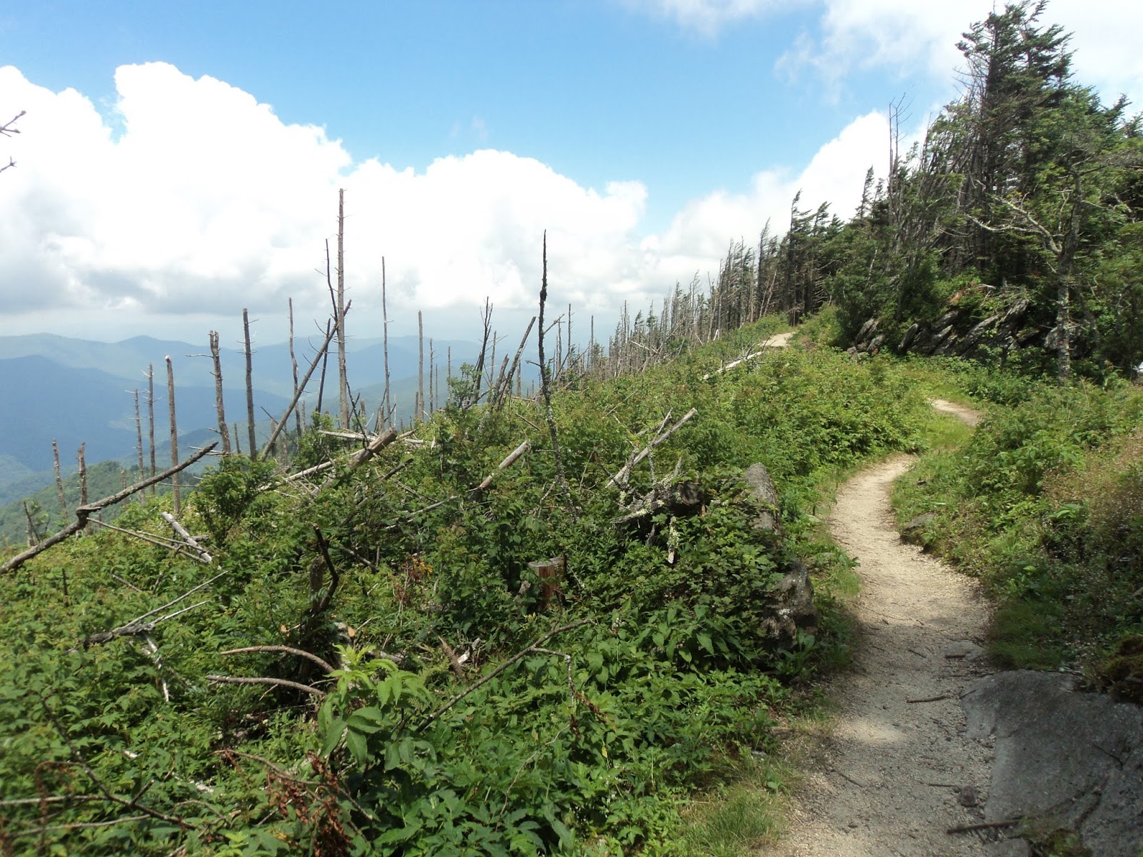 Parking Full Time Hiking Trail Journal: Mount Mitchell State Park ...