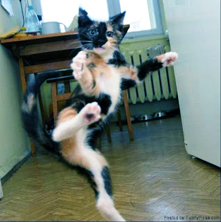 Please Don't Laugh: Top 10 Funniest Kick