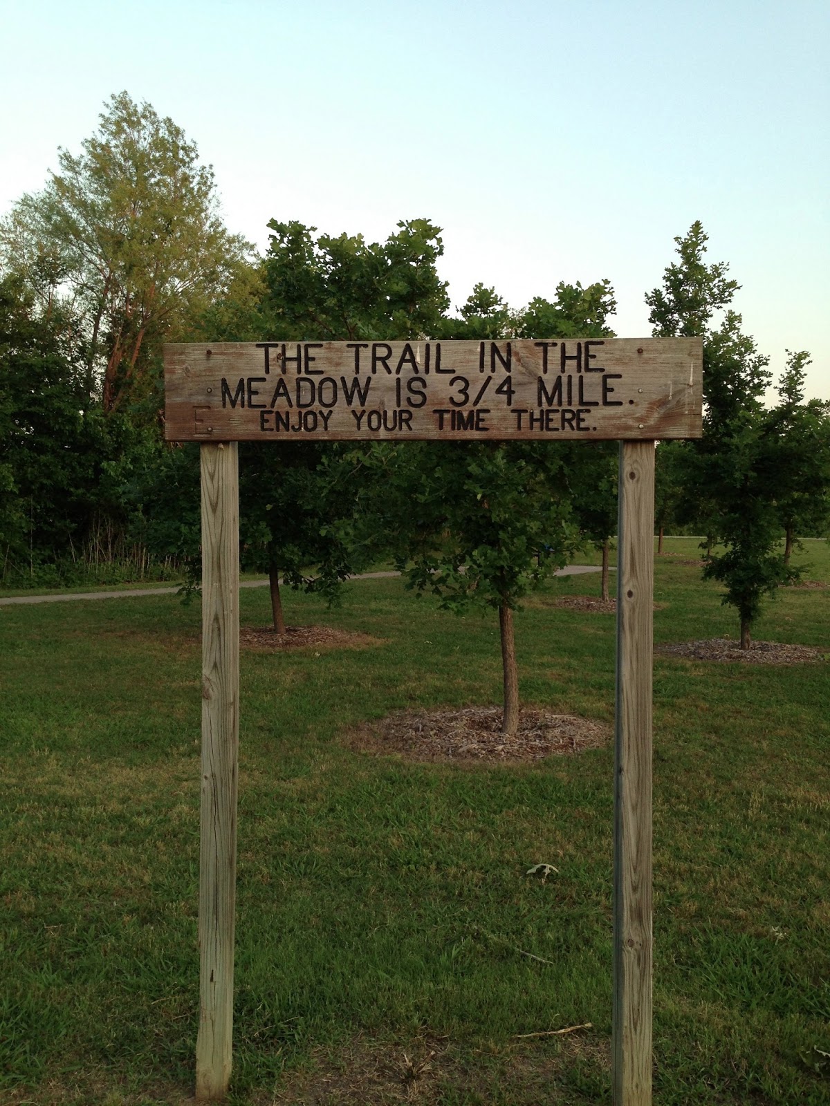 The Roaming Itinerant: Campion Trail South (Irving, TX)