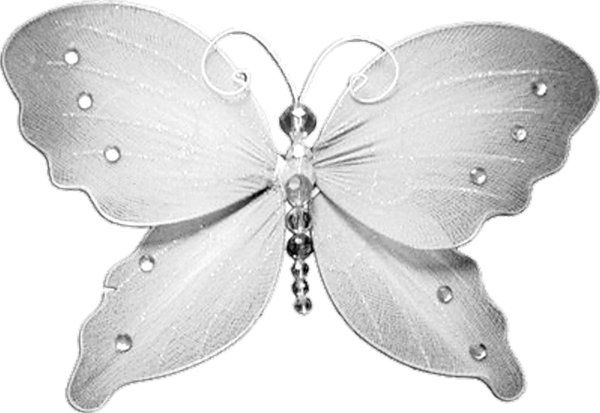ForgetMeNot: silver butterflies
