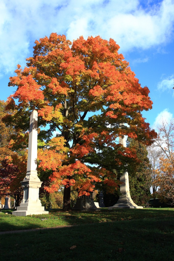 In and Around Northern Kentucky 2.0: Spring Grove Cemetery