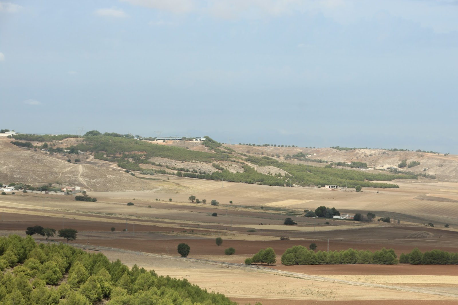 Historia y Genealogía: Tarancón. Cuenca
