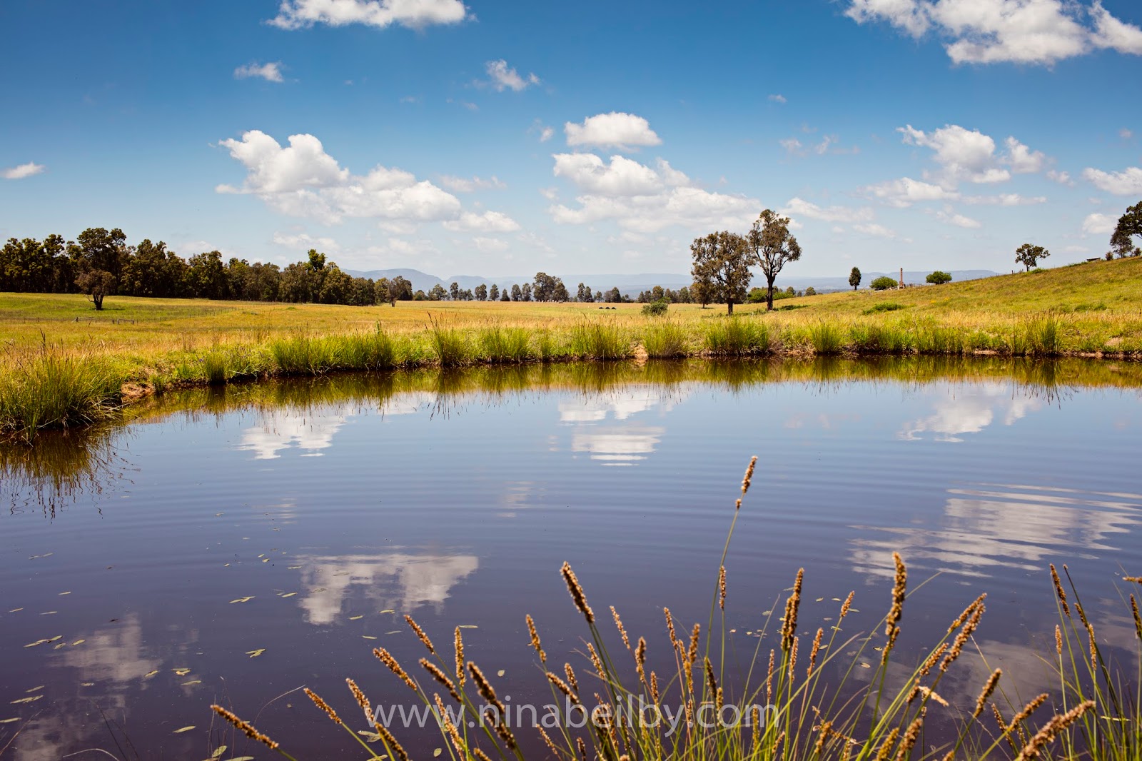 Rustic Australian Countryside - The small town of Rylstone