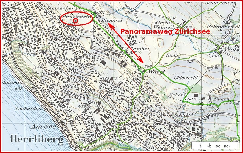 Pfannenstiel Wanderblog: Grösster Findling im Kanton Zürich: Pflugstein ...