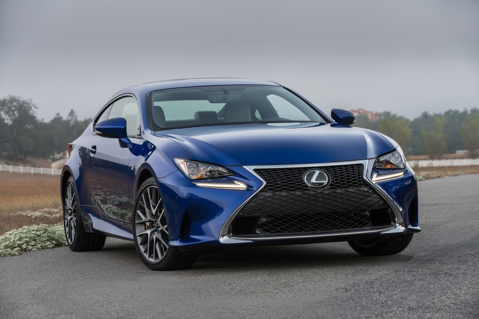Different Ends of the Same Spectrum: The Lexus RC200t and RC-F