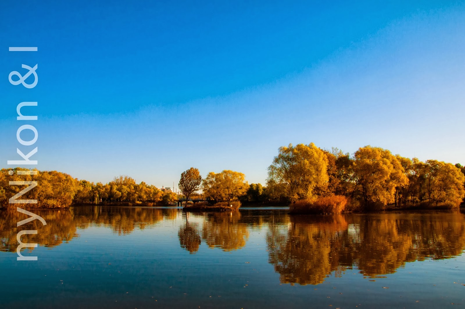 My Nikon and I: Autumn In Beijing