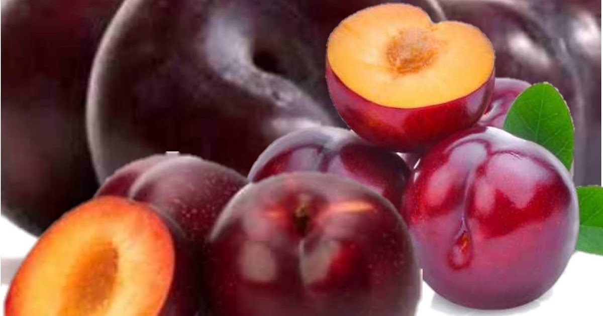 9 MANFAAT BUAH PLUM BAGI KESEHATAN TUBUH - Rumah Sehat