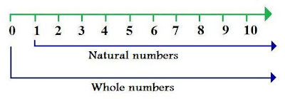 Whole Numbers and Natural Numbers ~ I Answer 4 U
