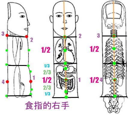 Acupuncture for singers and musicians: Soinam Wangmo - amazing voice