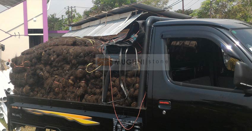 Disini ! Jual Ijuk Harga Lebih Murah (Kirim Cepat keJabodetabek) - JUAL ...