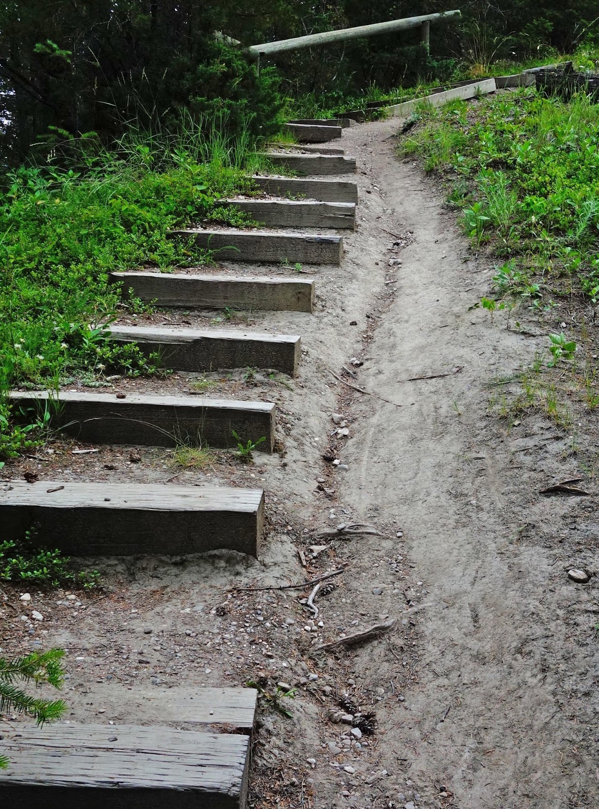 La Lair On Wheels: Canada's Kootenay National Park