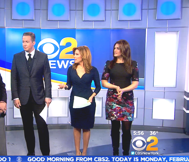 THE APPRECIATION OF BOOTED NEWS WOMEN BLOG : CBS2'S ALEX DENIS GETS THE ...