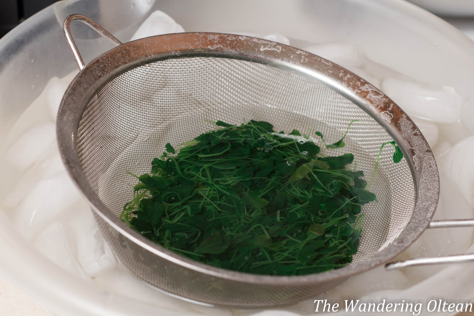 Citrus-Marinated Salmon with a Confit of Navel Oranges, Beluga Caviar ...