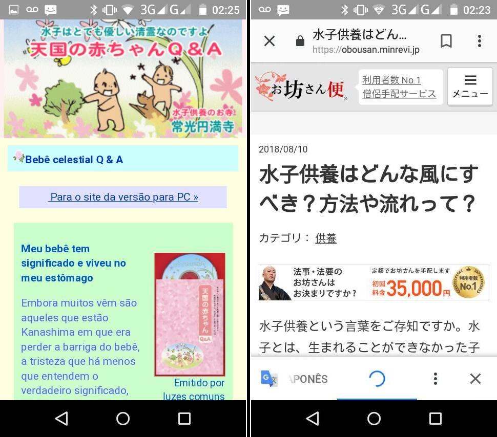 Jardim dos Mizukos: Mais considerações sobre o serviço de Mizuko-kuyo