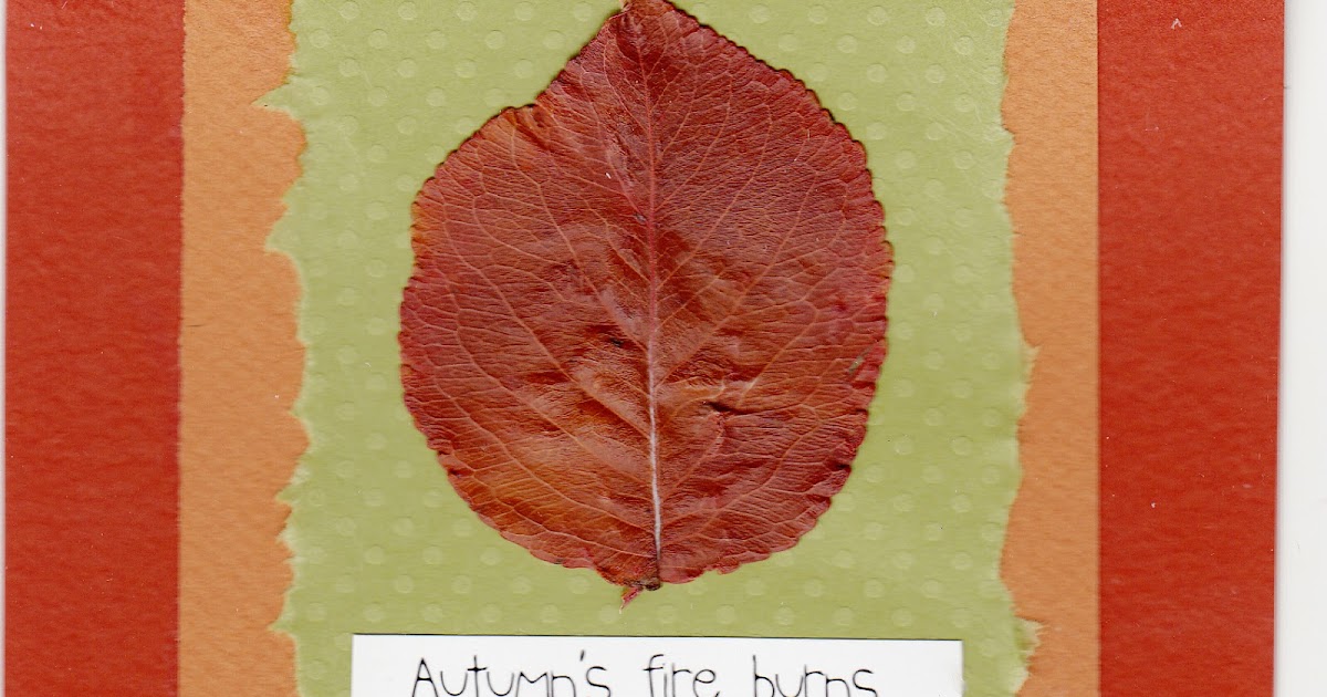 Holley's Blog: Pressed Leaf cards