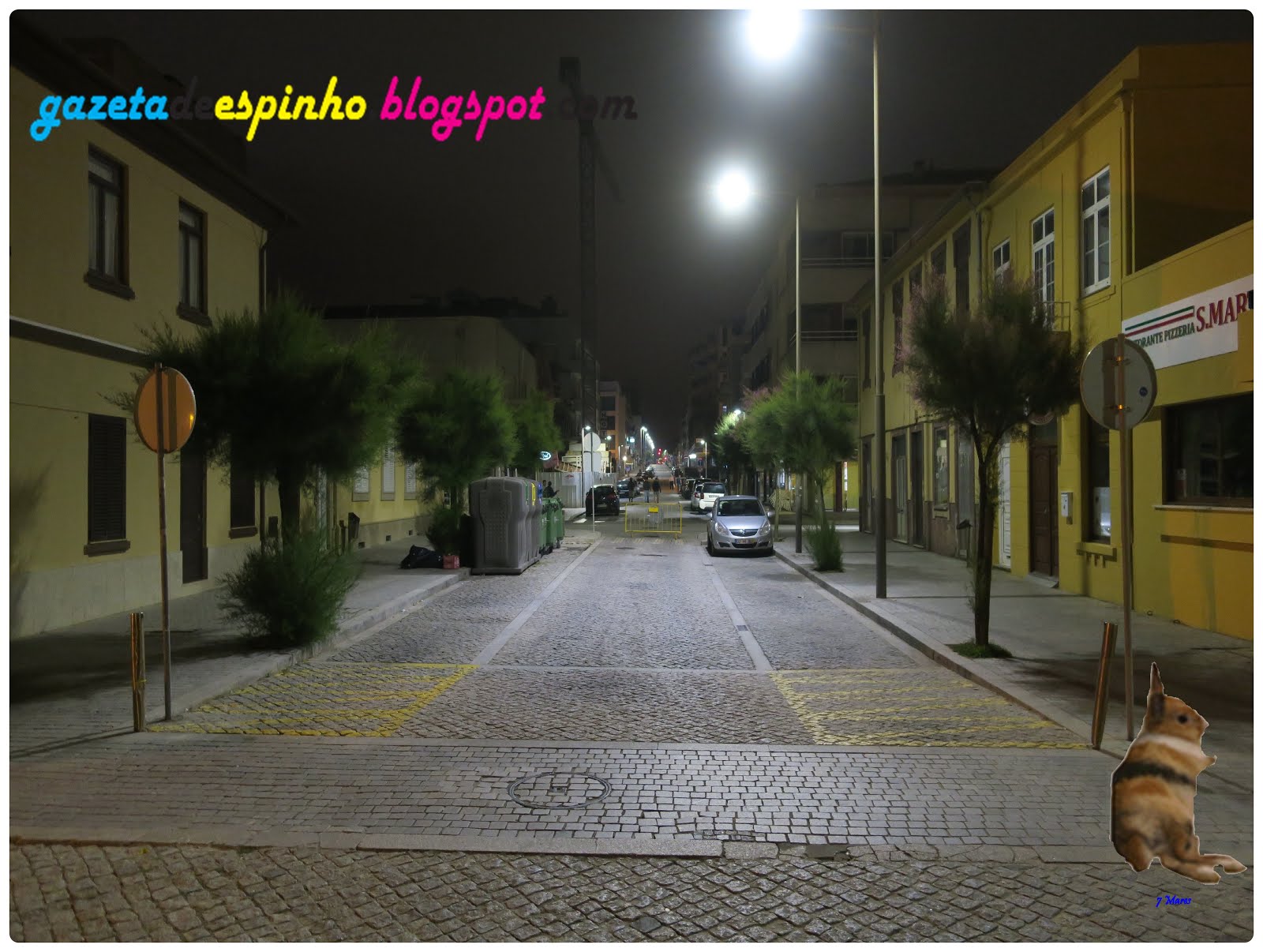 Gazeta de Espinho: Trânsito proibido na Rua 2 de Espinho