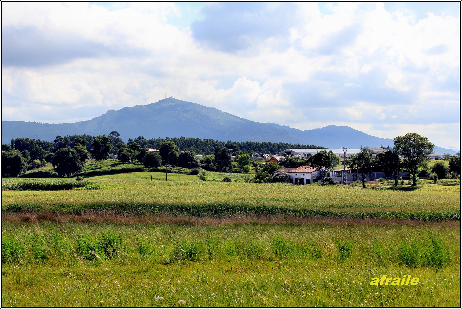 Foto afraile: Carriazo (Ribamontán al Mar).