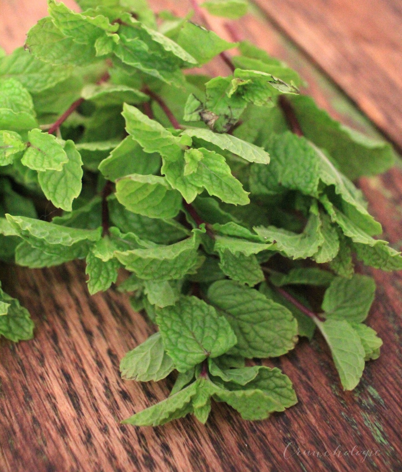 Top 5 Uses for Peppermint