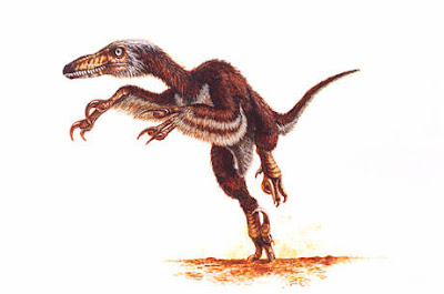 RAPTORS: Velociraptor