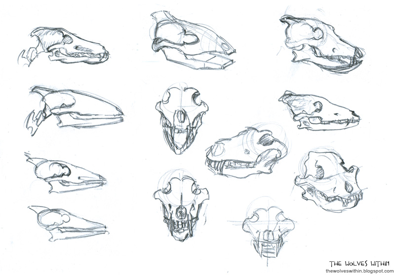 The Wolves Within: Wolf Sketches/Reference