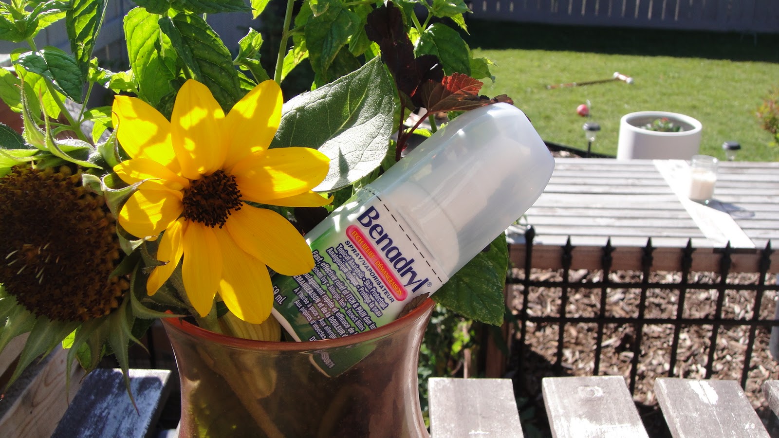 REVIEW: BENADRYL ITCH SPRAY - Life Without Lemons