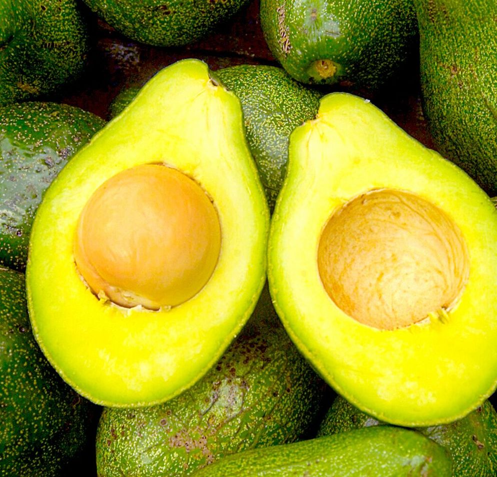 Frutas do Mundo: ABACATE