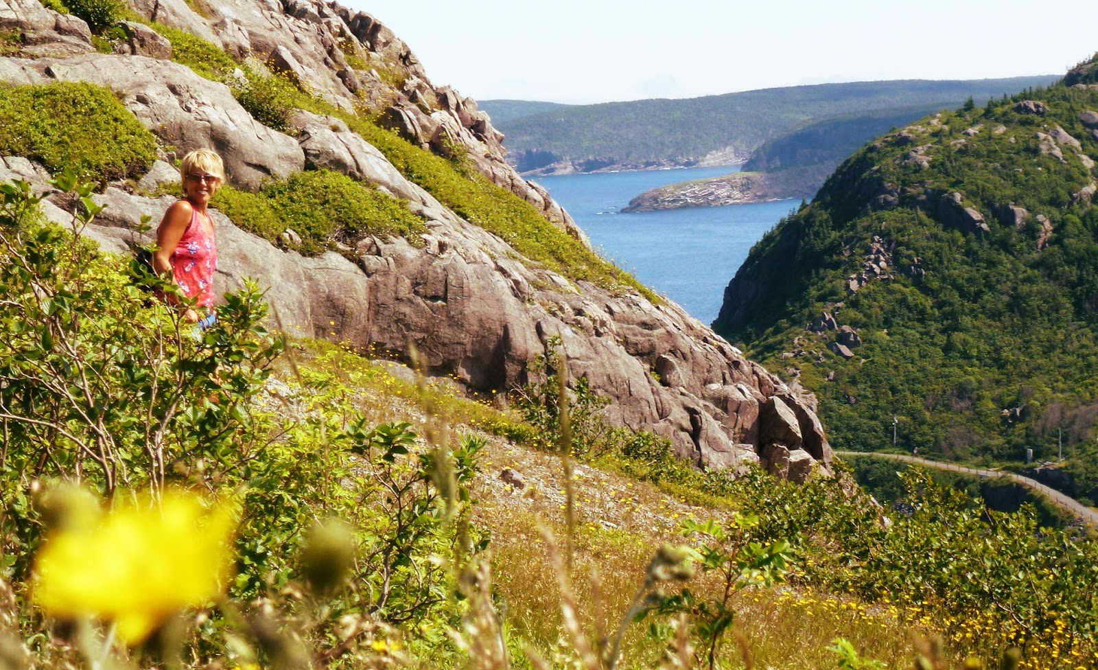 Charming Shadows: Life on the Farm: Newfoundland