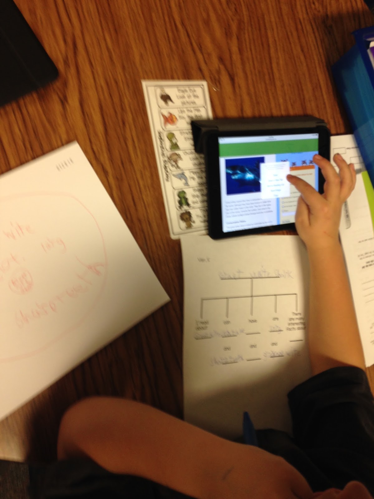 Toad-ally Exceptional Learners: differentiation