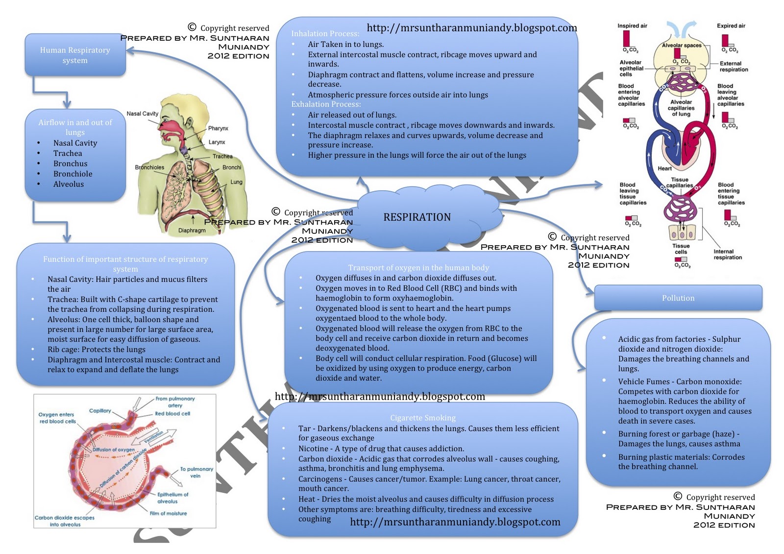 PMR & SPM: Science and Biology: PMR Online comprehensive Notes!!
