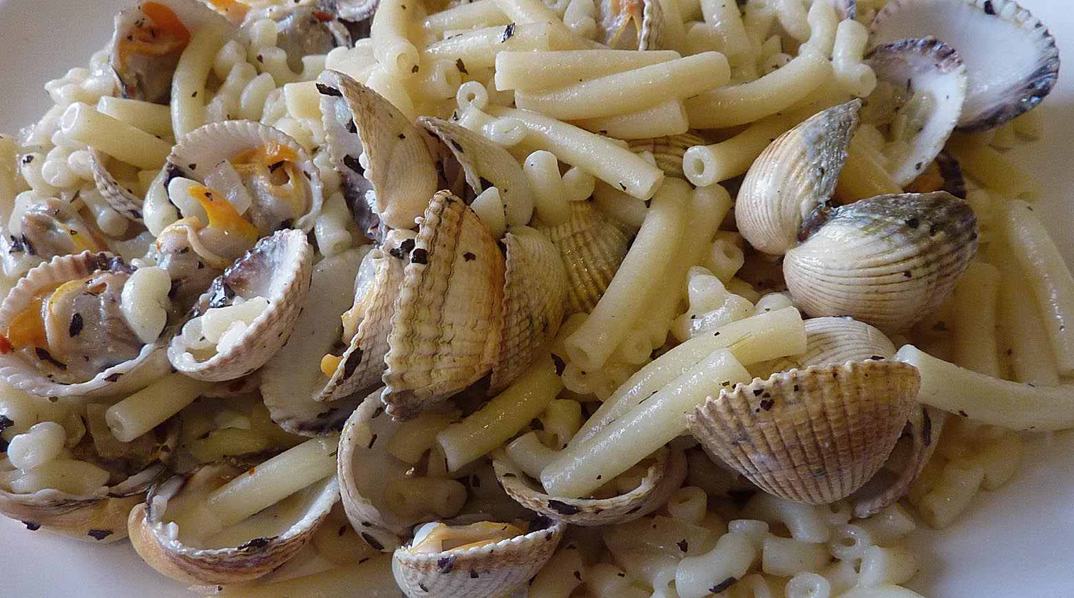Living the life in Saint-Aignan: Cockles in a cream and oregano sauce