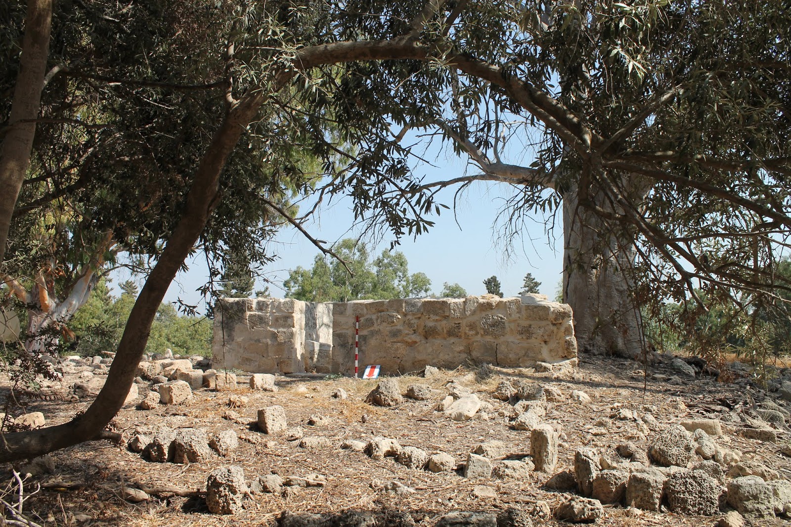 Muslim shrines in Israel: 6. Maqams. Sharon Plain and Carmel