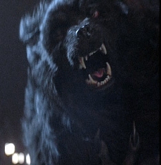 The Sky Has Fallen: Silver Screen Werewolves