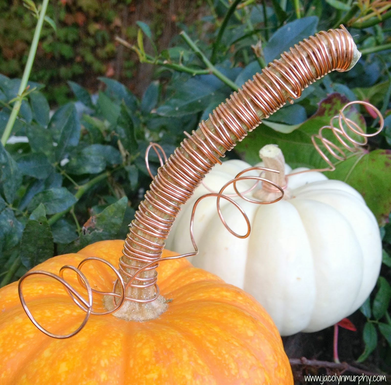 Jac o' lyn Murphy: A new Twist on my Fall Pumpkins...