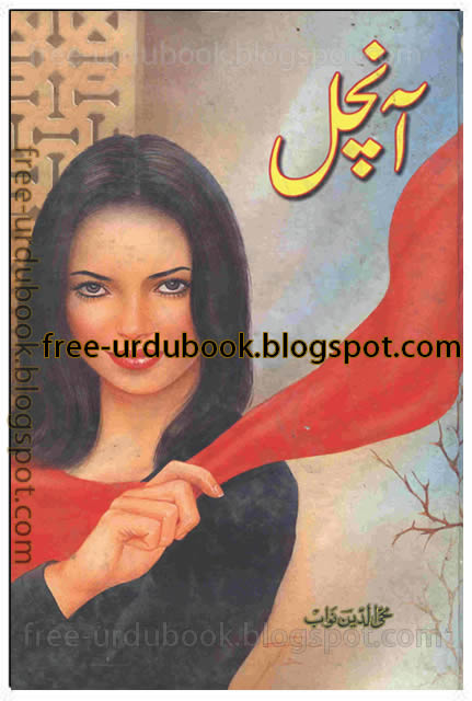 Anchal By Mohayudin Nawab | Free Urdu Books Downloading, Islamic Books ...