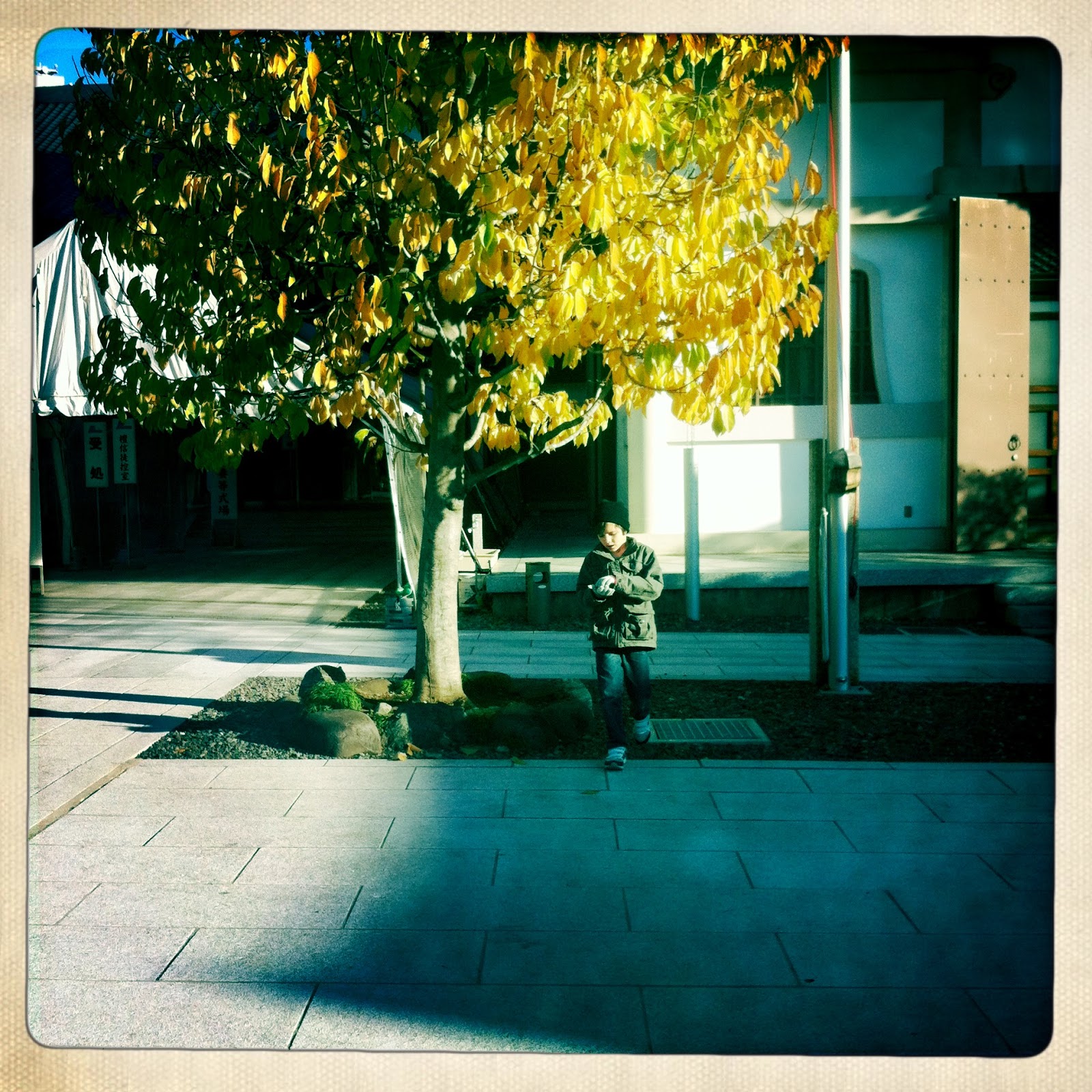 The Sycamore-Road: Neighborhood Shrine-