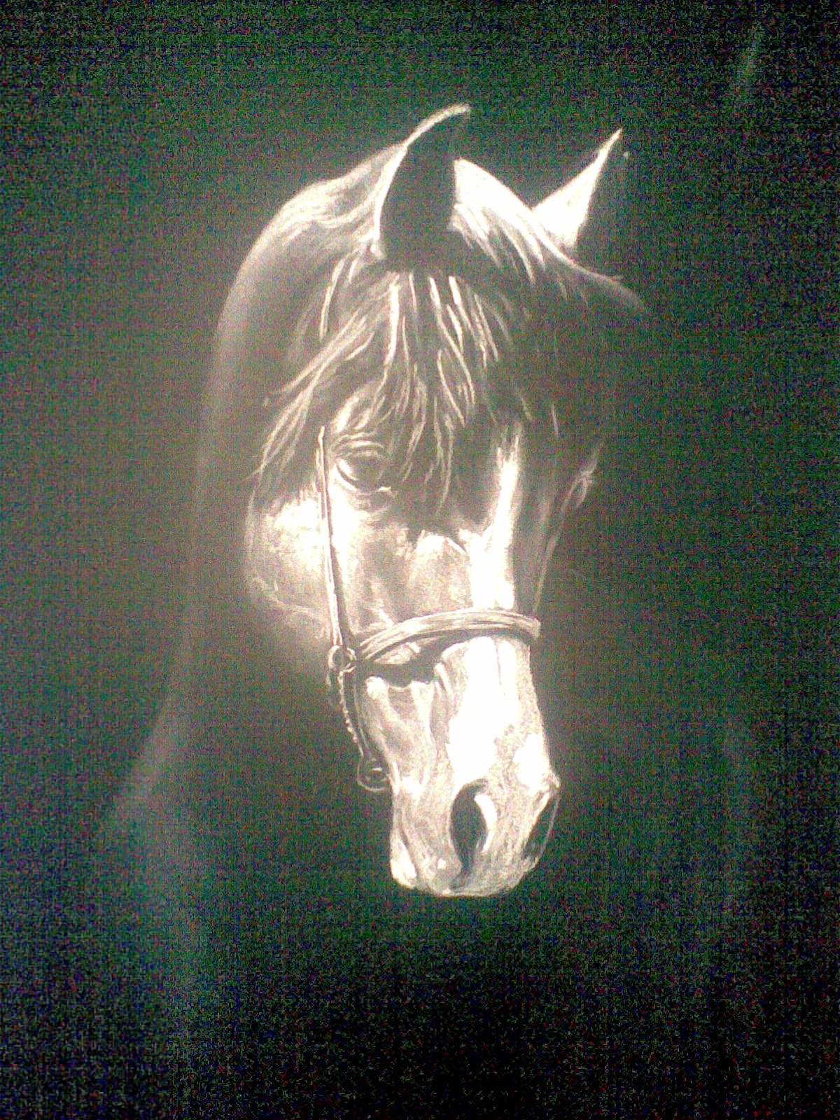 kurdistanart: Bahroz Jaza1988 Kurdish Painter~ Sulaymaniyah south of ...